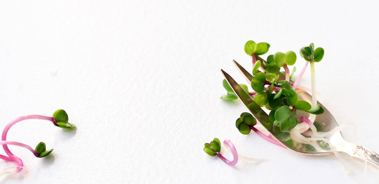 Any dish may benefit from fresh Sprouts as ingredient or garnish