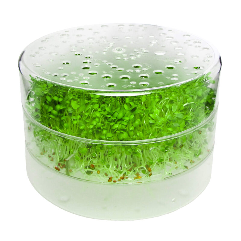 Sprouting Kit with SproutPearl Sprouter + Sprout seeds + Sponge