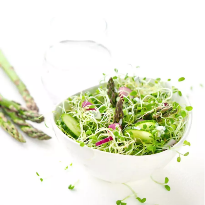 Clover salad with soy cream dressing with fresh homegrown clover sprouts