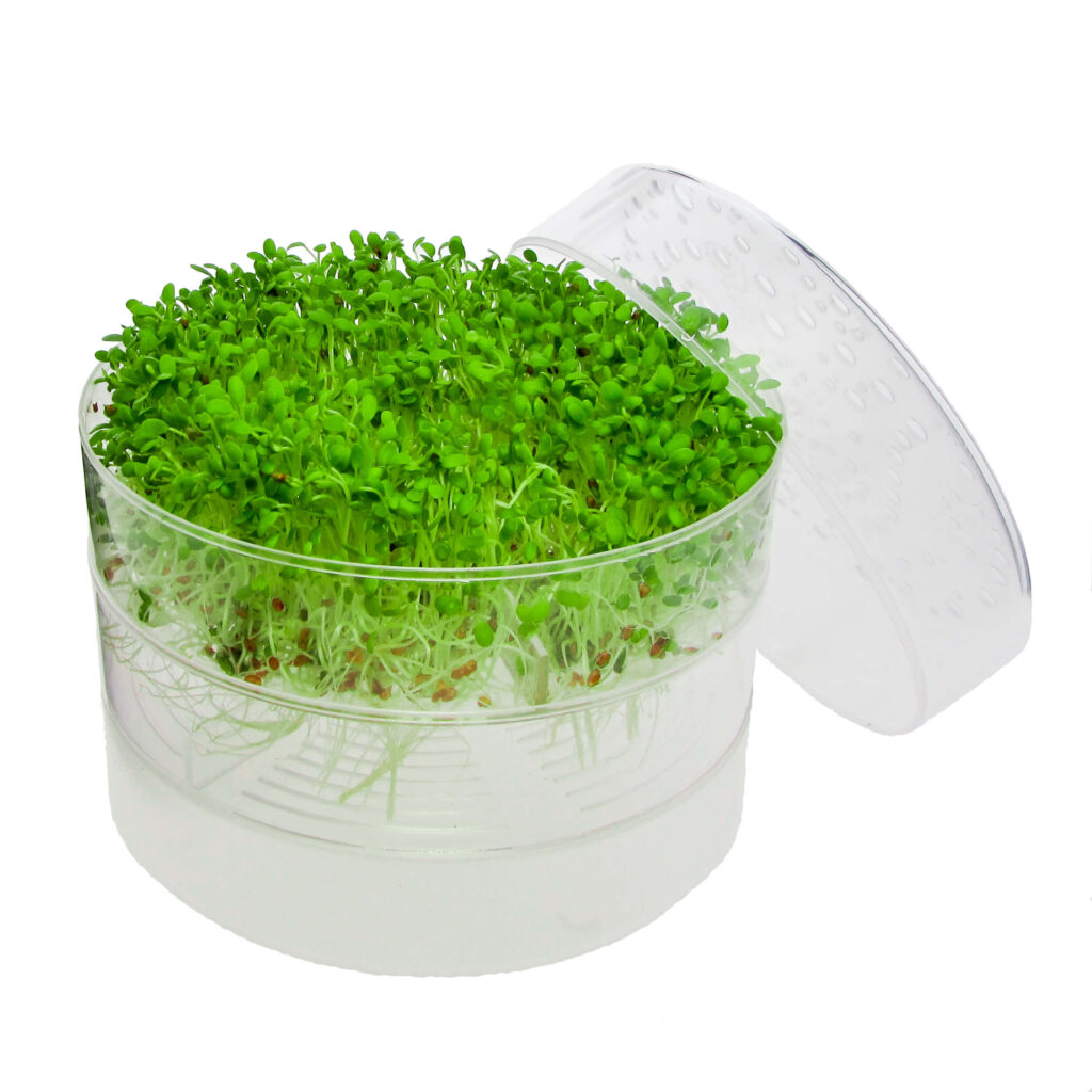 Start kits and grow kits to grow Sprouts and Microgreens in your kitchen.
