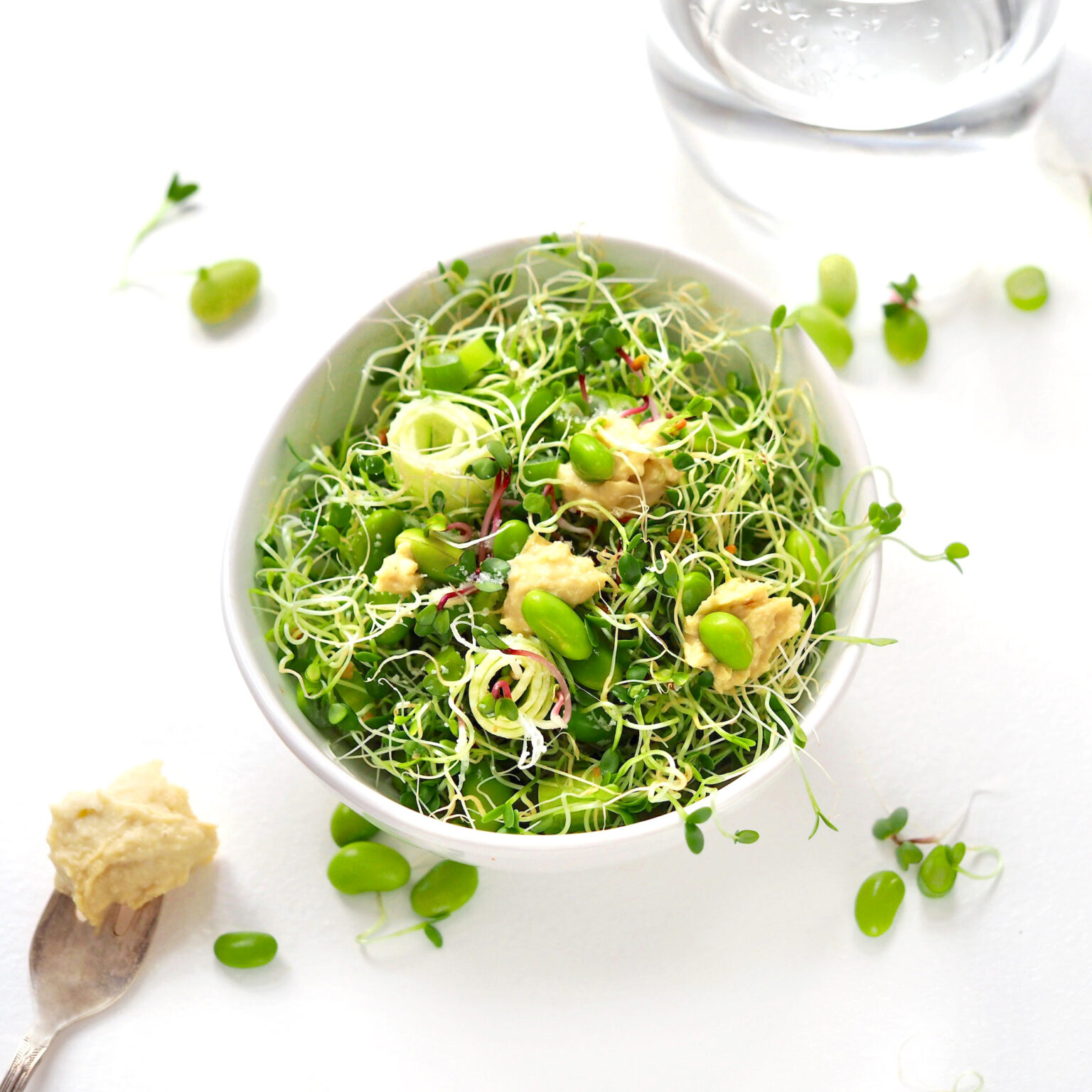 Recipes with sprouts of all tastes, colours and varieties for your food