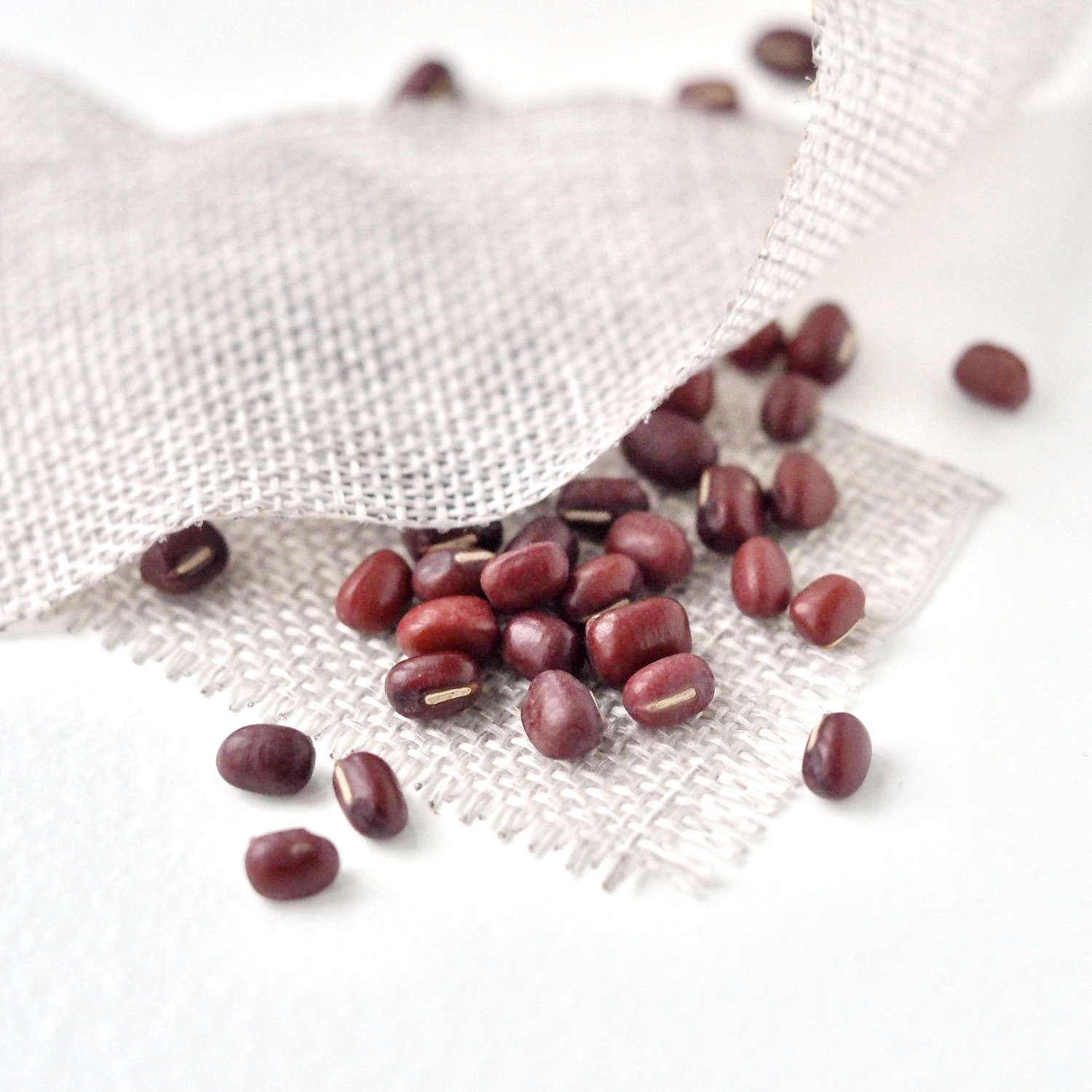 Adzukibohnensprossen sind klein, aber sehr proteinreich und knackig