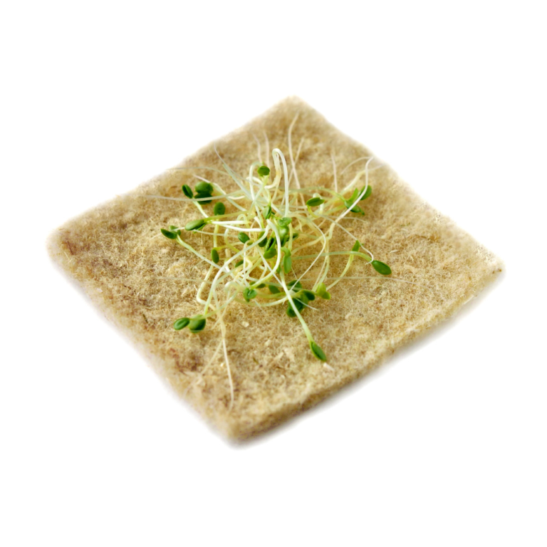Mouldy Sprouts and hairy Roots on Microgreens are just tiny Roots