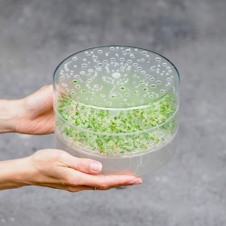 Start kits and grow kits to grow Sprouts and Microgreens in your kitchen.