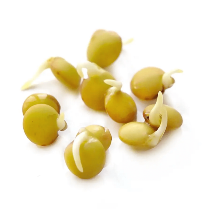 Sprout Chart show 24 varieties of seeds for Sprouts & Microgreens