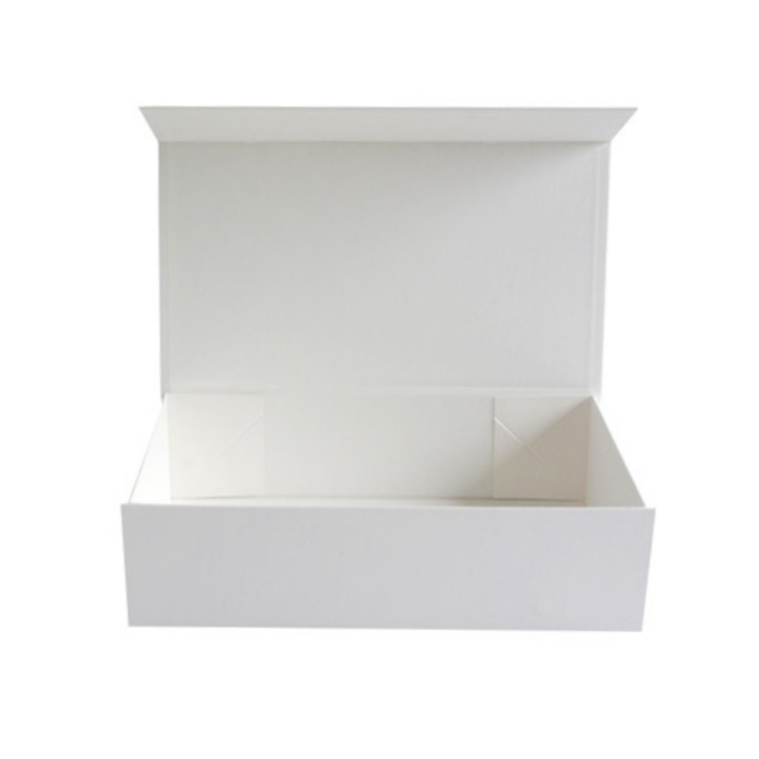 Seed storage box with magnetic flap for your portion bags sprouting seeds