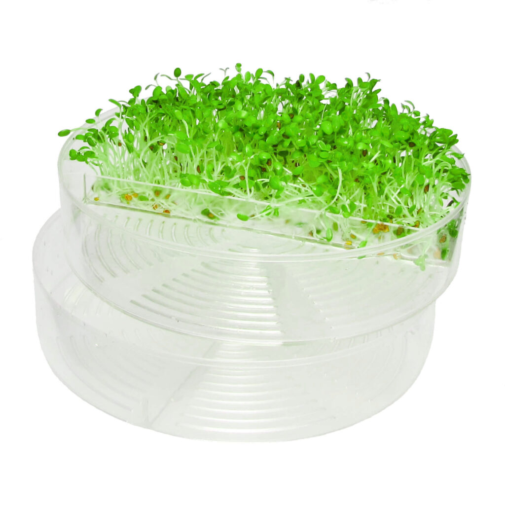 Start kits and grow kits to grow Sprouts and Microgreens in your kitchen.