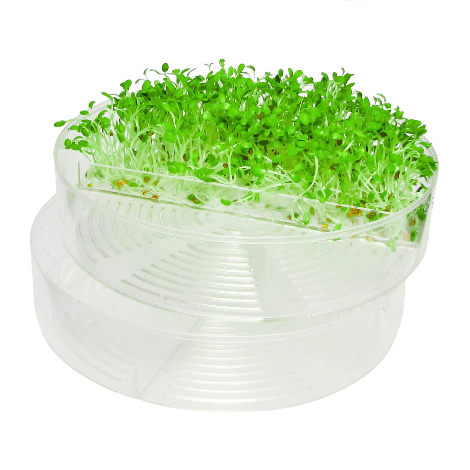 Start kits and grow kits to grow Sprouts and Microgreens in your kitchen.