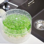SproutPearl sprouter 1 tray is an elegant sprouter for your kitchen