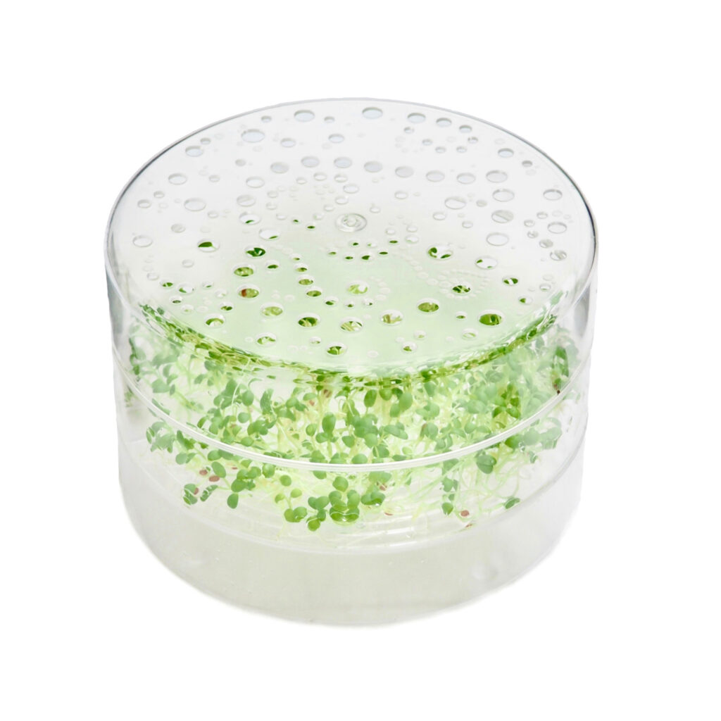 SproutPearl sprouter 1 tray is an elegant sprouter for your kitchen