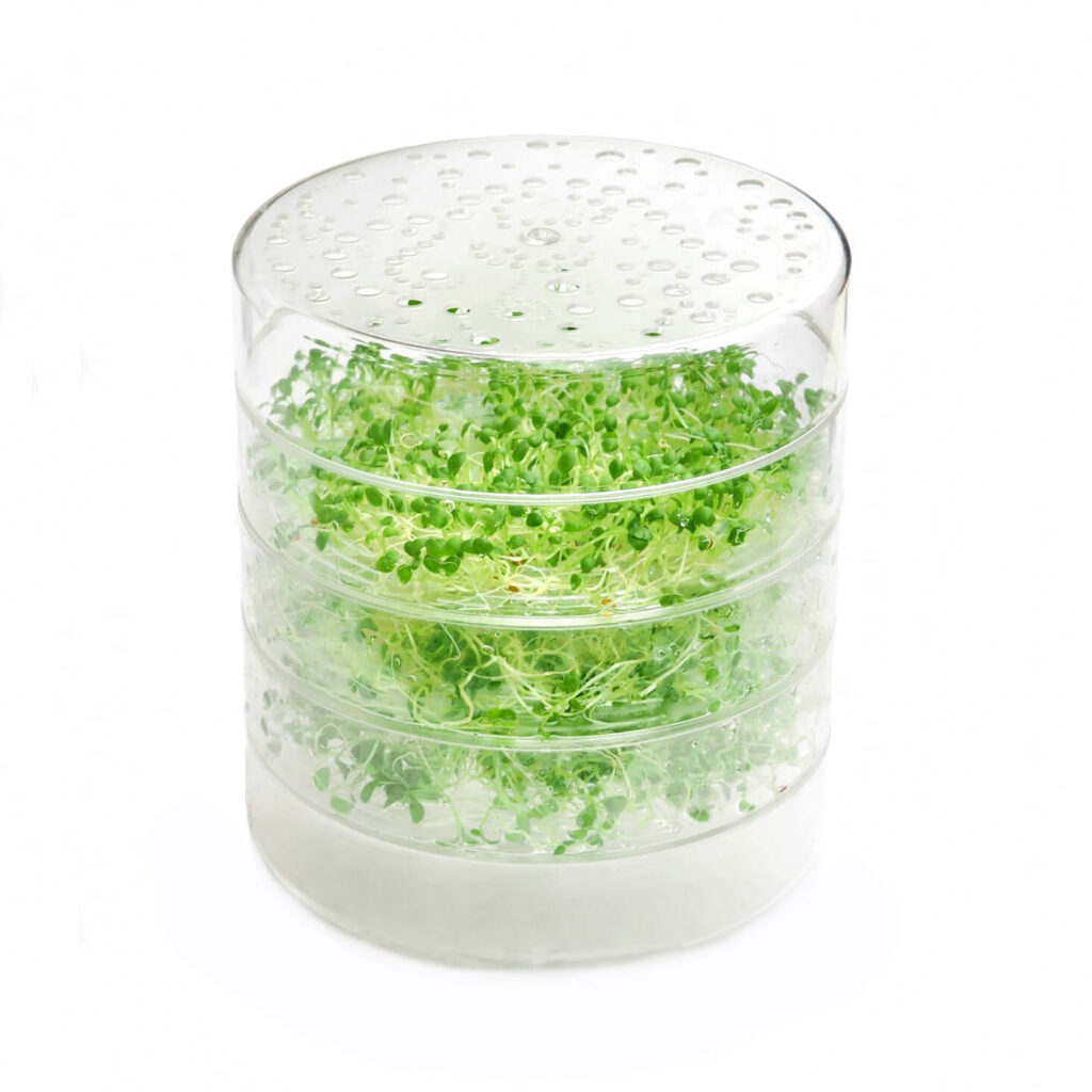 Start kits and grow kits to grow Sprouts and Microgreens in your kitchen.