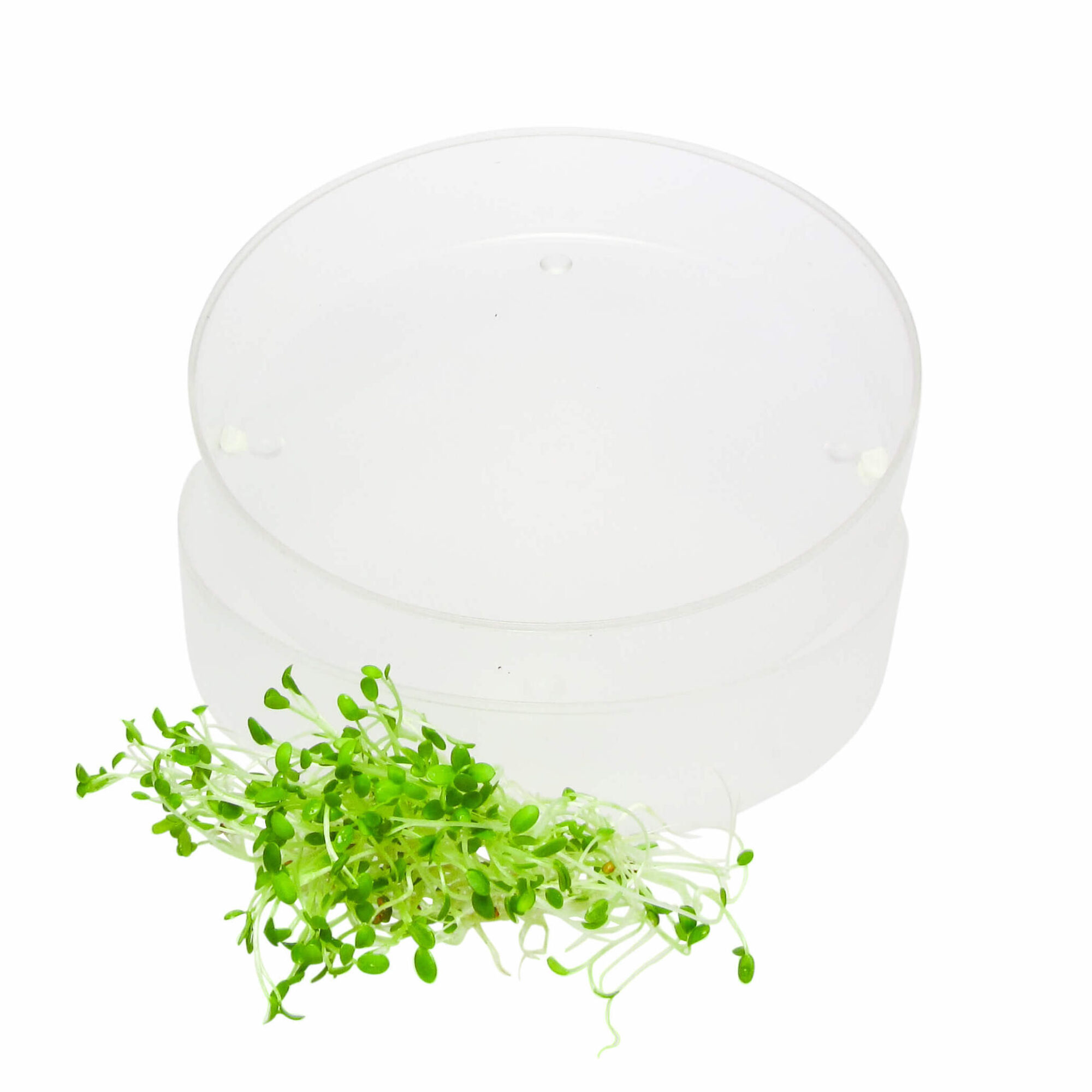 SproutPearl extra part for your sprouter for sprouts and microgreens.