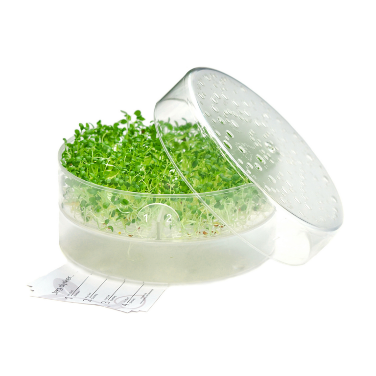 Water saving faucet aerator to rinse sprouts and microgreens