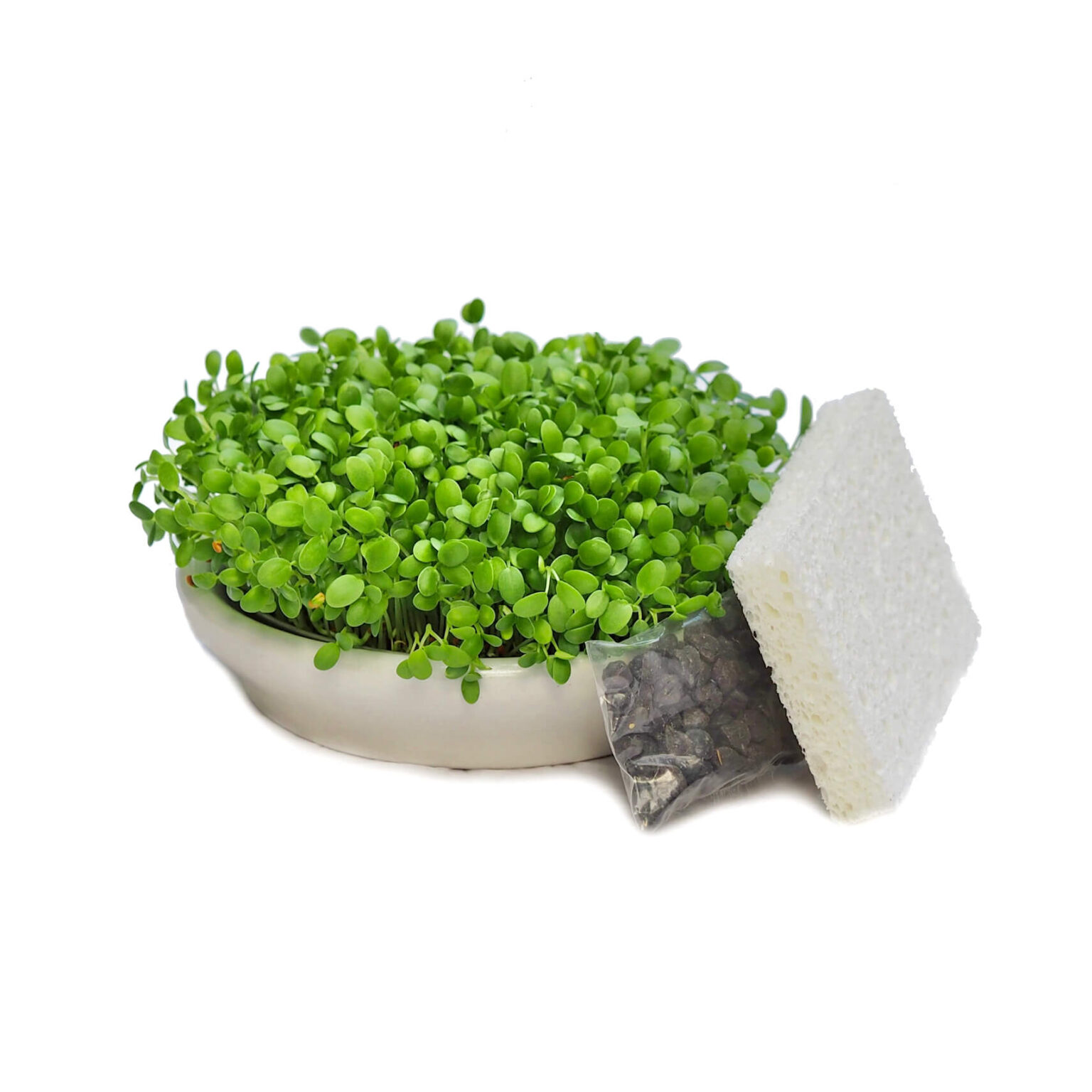 Start kits and grow kits to grow Sprouts and Microgreens in your kitchen.