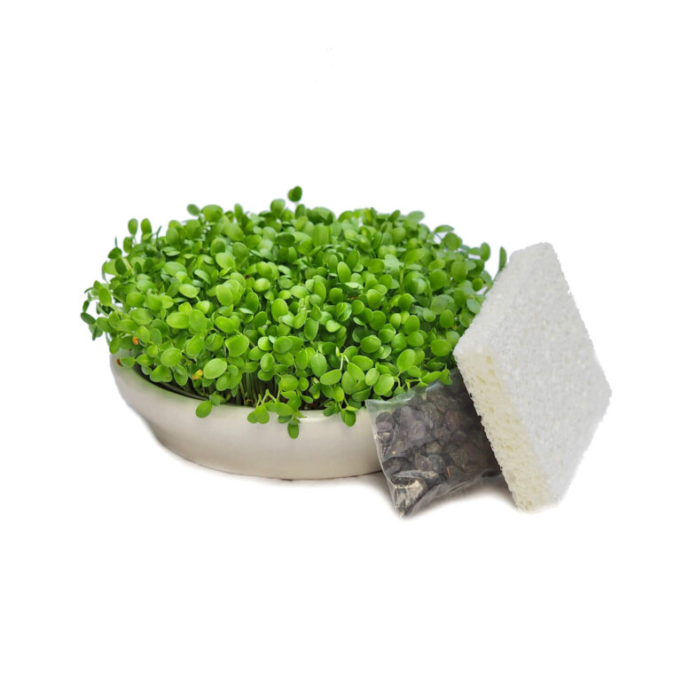 Start kits and grow kits to grow Sprouts and Microgreens in your kitchen.