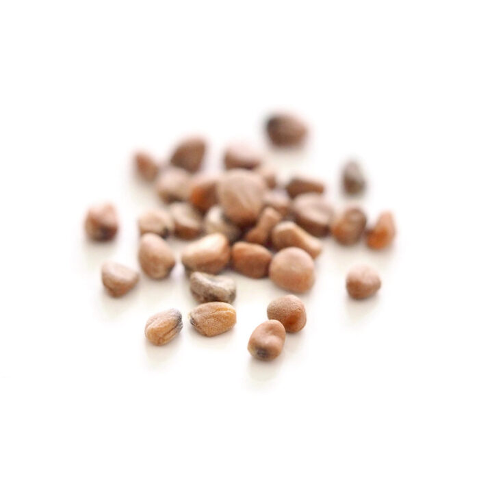 Sprout chart gives an overview of 24 varieties of sprouts and microgreens