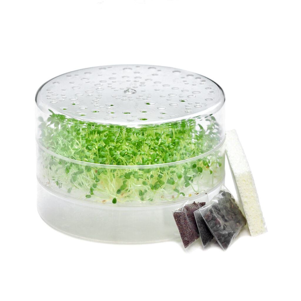 Sprouting Kit with SproutPearl Sprouter + Sprout seeds + Sponge