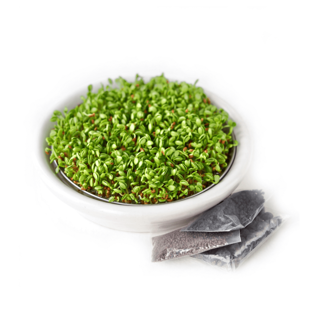 Ceramic SproutingTray Kit for gelling seeds as Cress, Mustard or Rucola