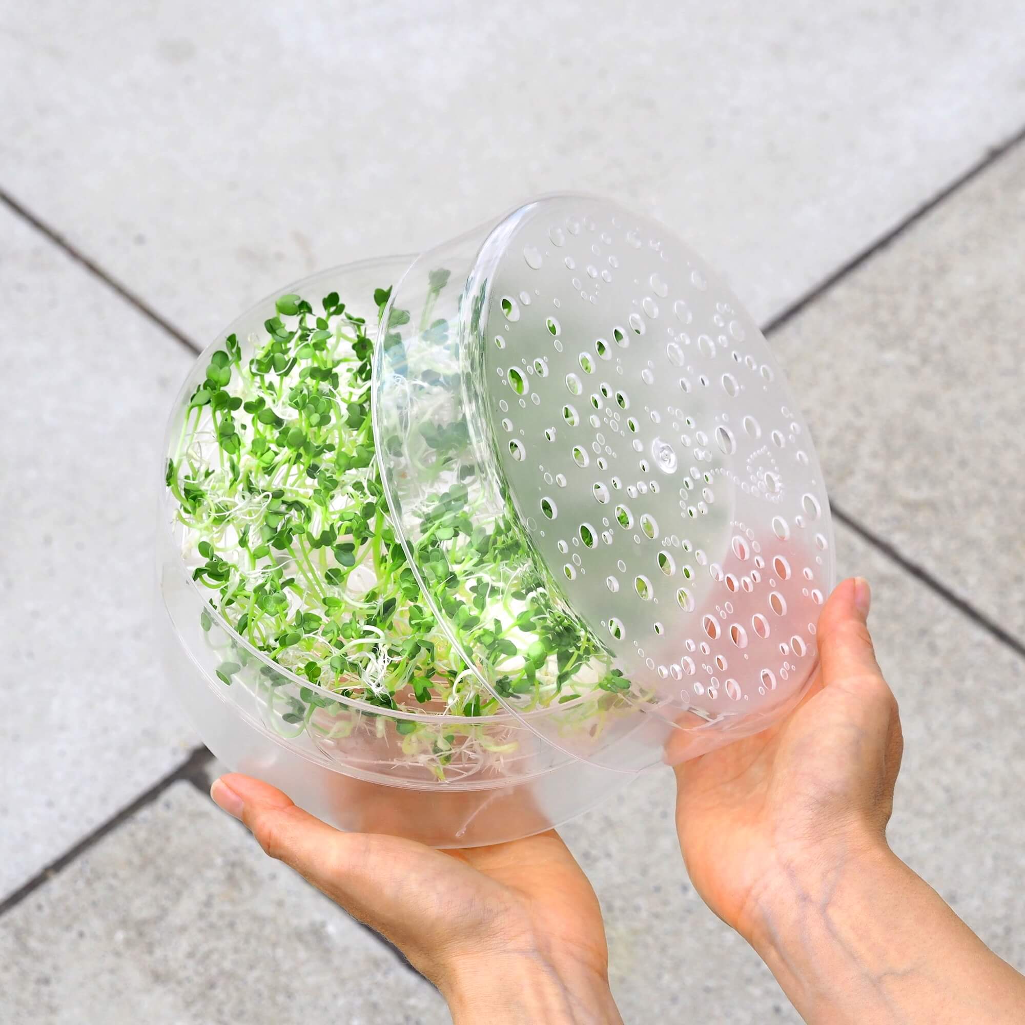 SproutPearl sprouter is a Danish design sprouter by FRESH SPROUTS.