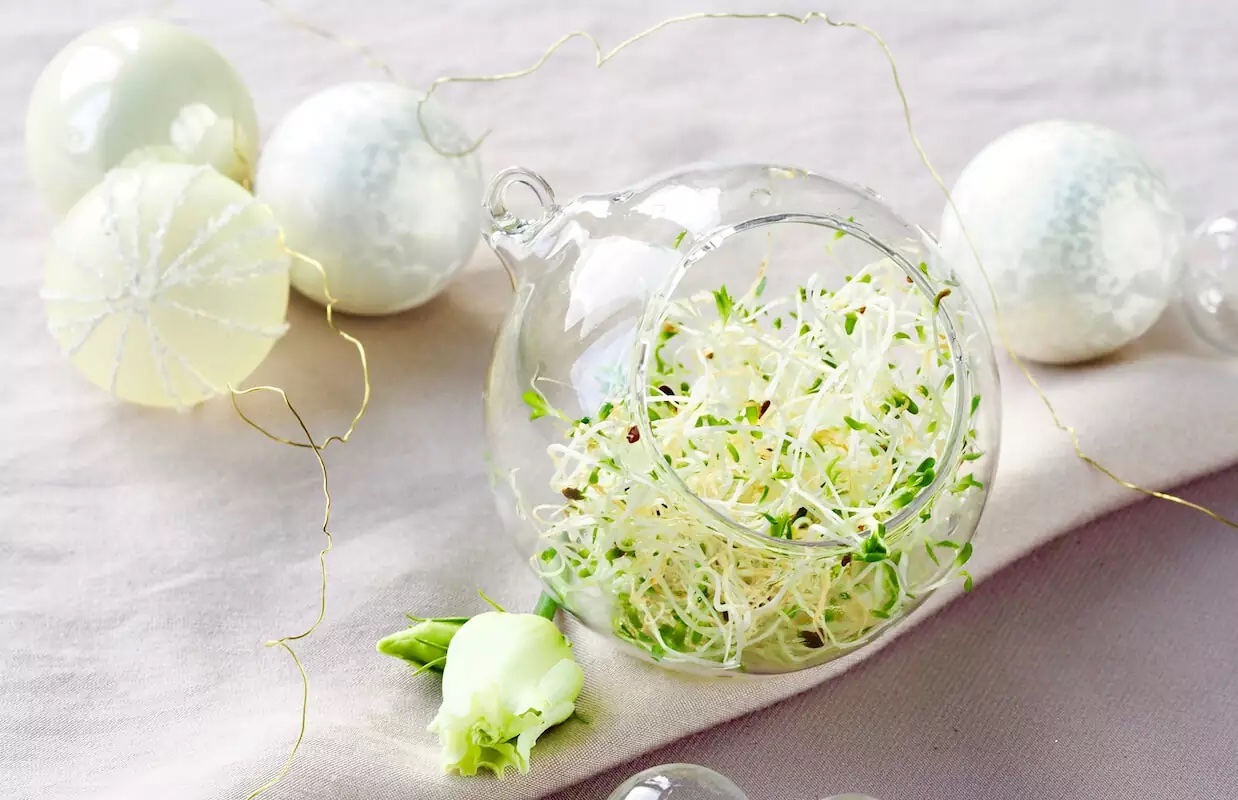 Edible table decoration with Sprouts and Microgreens is fun and beautiful