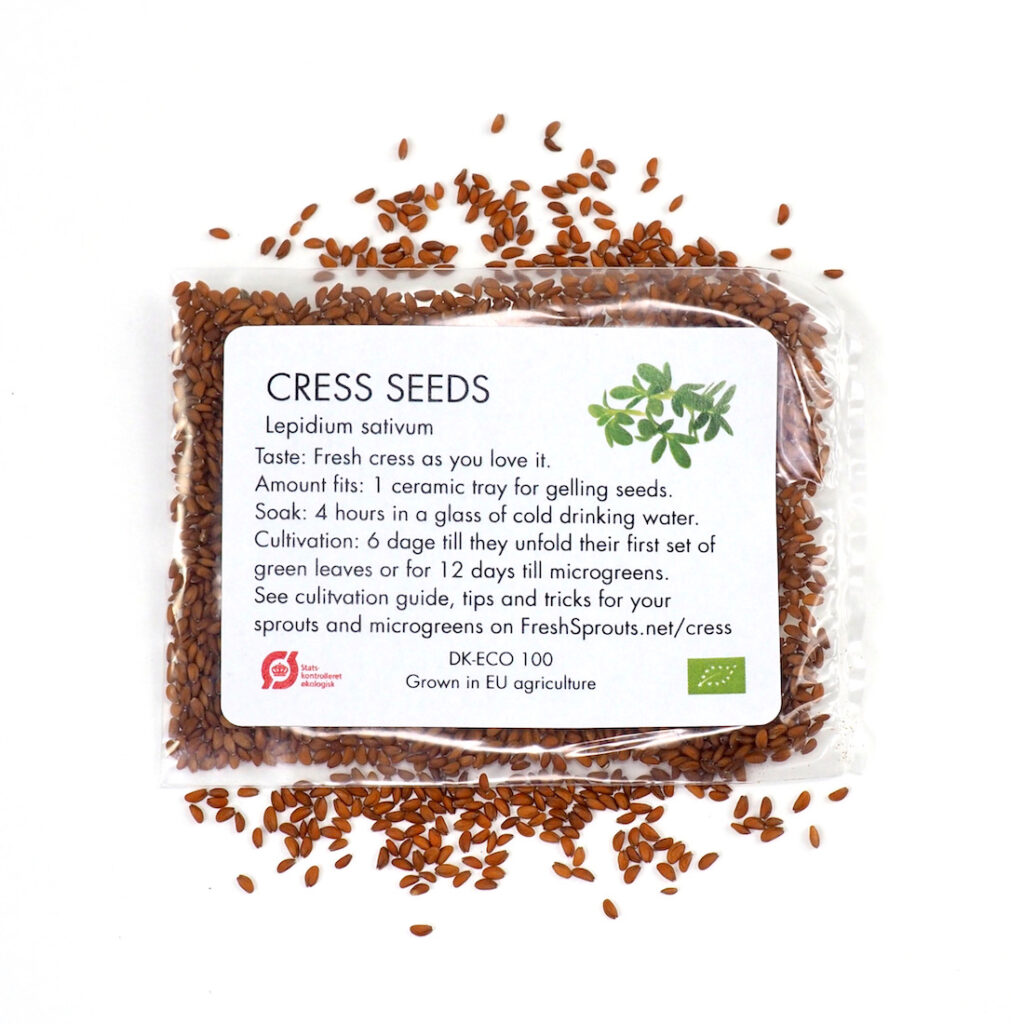 Organic Cress seeds for Sprouts or Microgreens grown in a kitchen