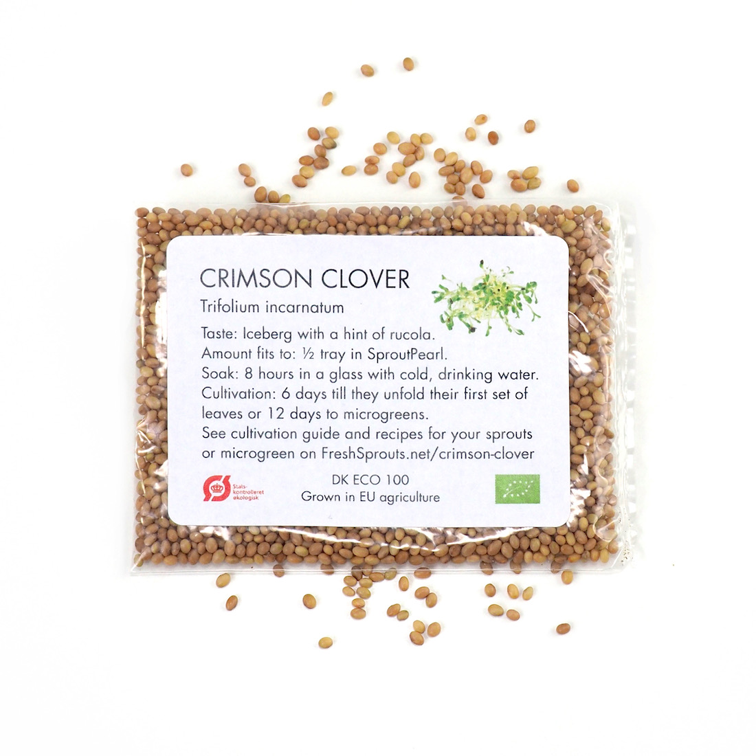 Organic Endive for sprouts or microgreens grown in your kitchen.