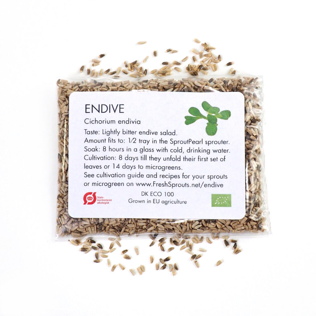 Organic Endive seeds for microgreens you can grow in 12 days