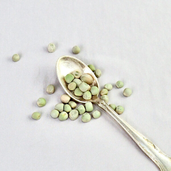 How to Grow Pea Shoots - The Ultimate Guide to Perfect Results