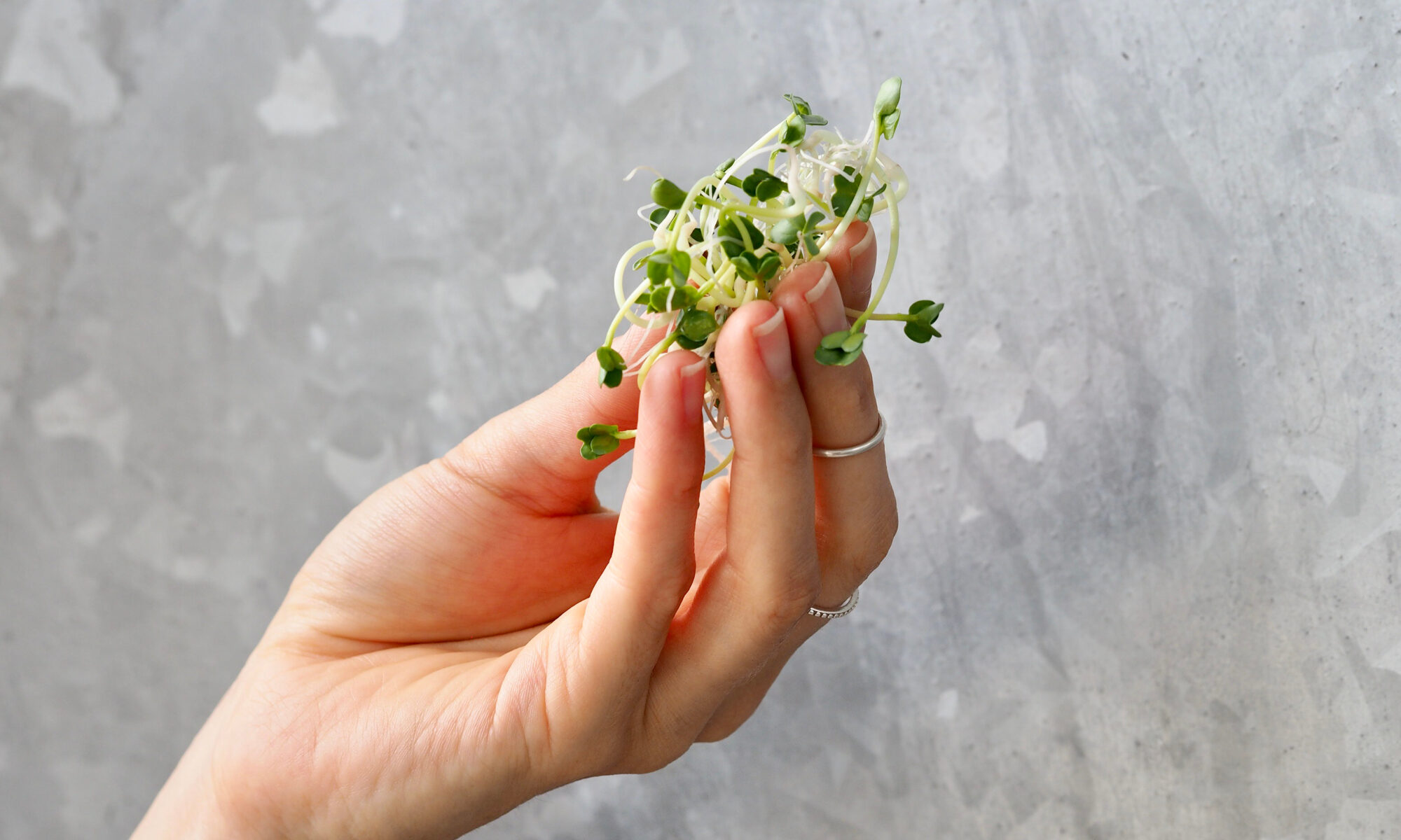 14 ideas for Sprouts and Microgreens in green food and dishes