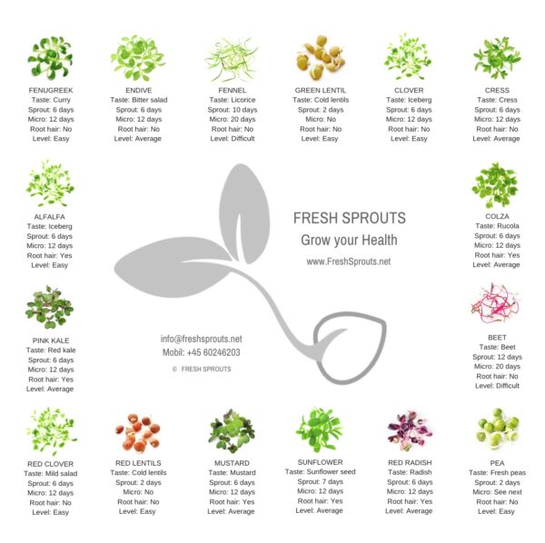 Sprout chart in print with info on organic sprouts and microgreens